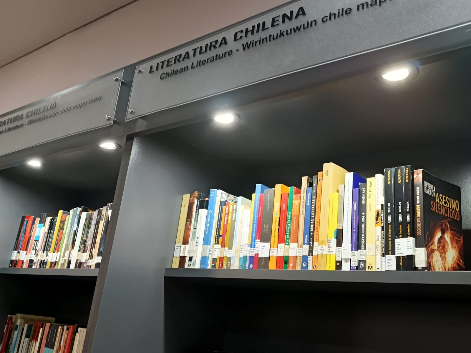 Biblioteca Pública de Malloa inaugura su nuevo mobiliario financiado a ...